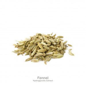 Fennel - plantsgate