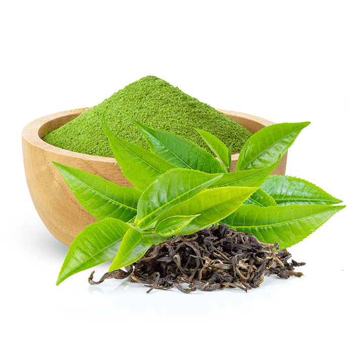 Green tea Extract - plantsgate