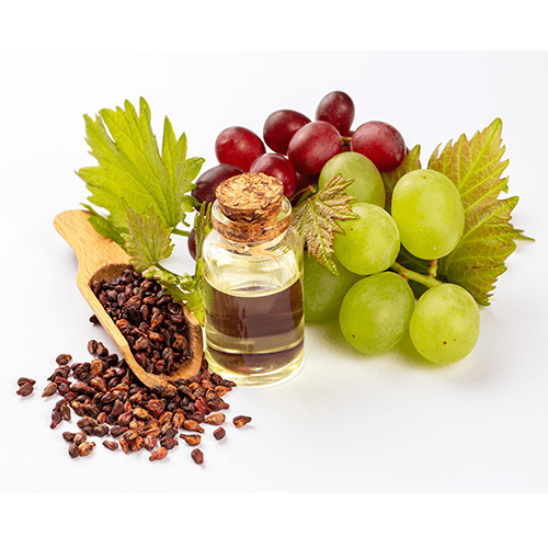 Grape Essential oil - plantsgate