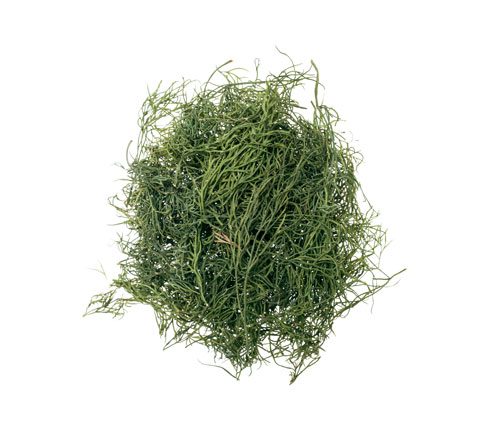 Organic Dried Dill - plantsgate